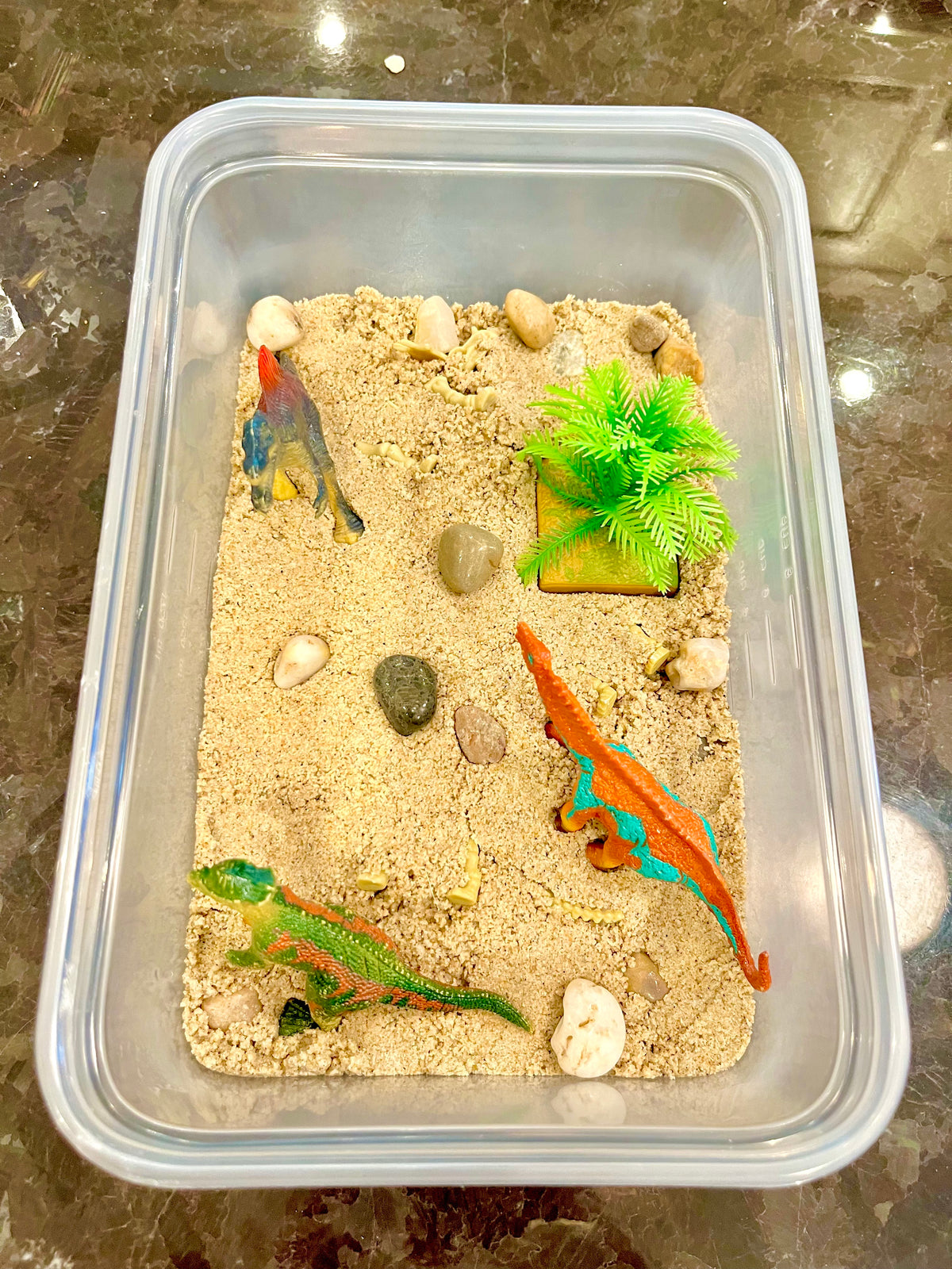 Unleash the Paleontologist Within: DIY Dino Bone Dig with Sand and Cor ...