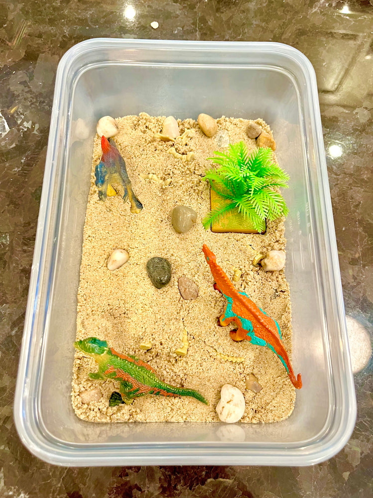 Unleash the Paleontologist Within: DIY Dino Bone Dig with Sand and Cor ...